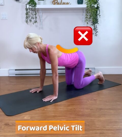 Neutral Pelvis: How To Find Yours, And Why You Should - Christie Stoll ...