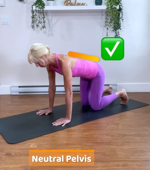 Neutral Pelvis: How To Find Yours, And Why You Should - Christie Stoll ...